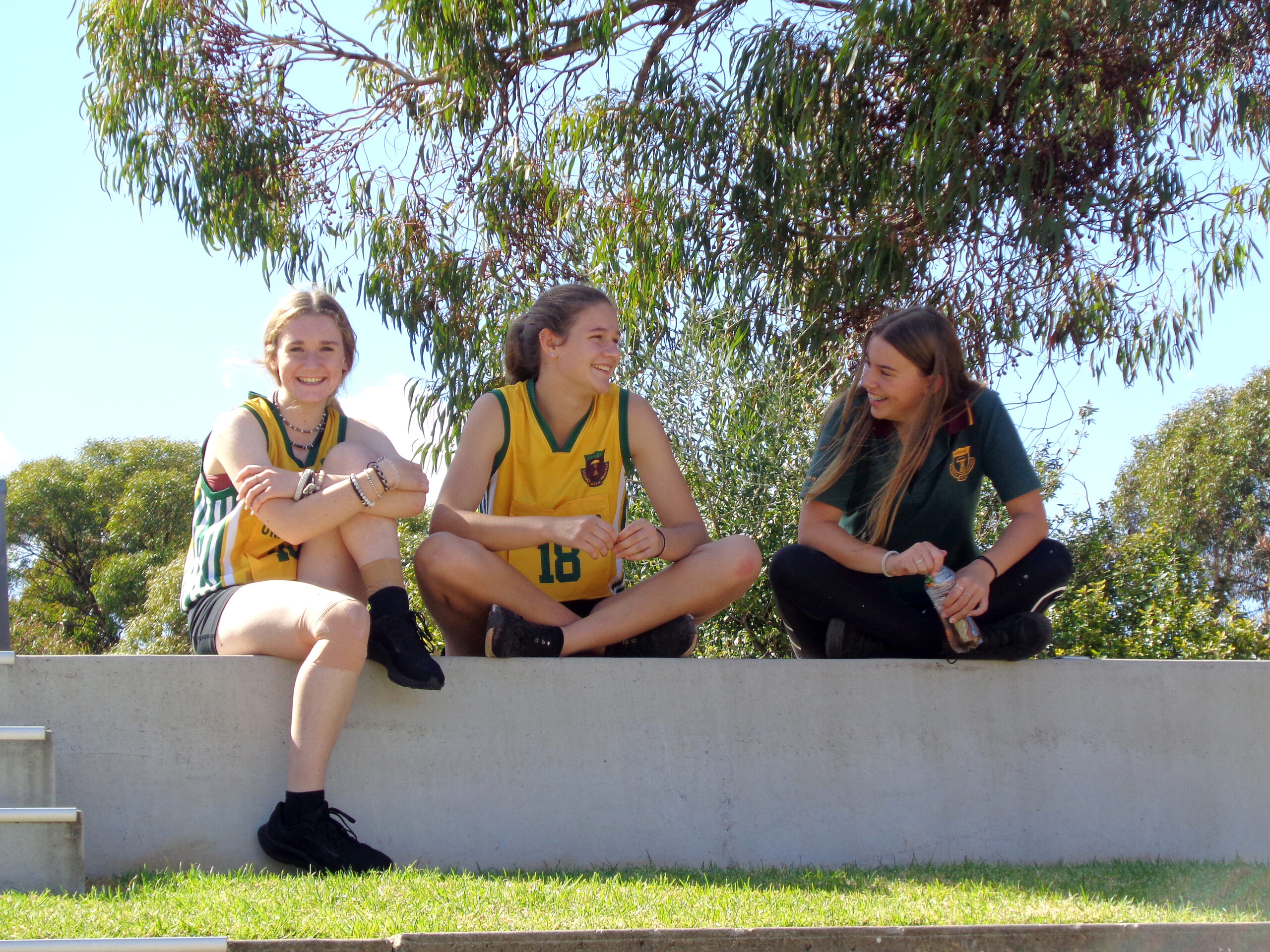 Fixtures and Travel - Urrbrae Agricultural High School